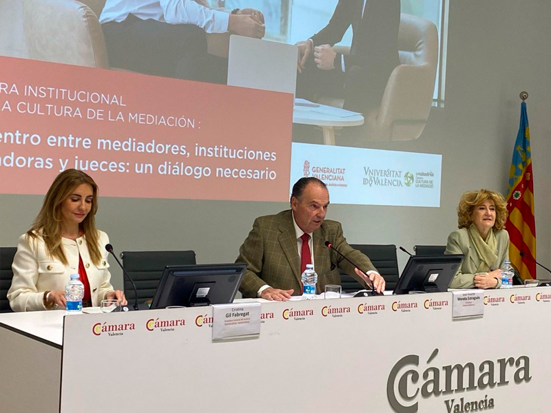 Culture for Legal Mediation Chair