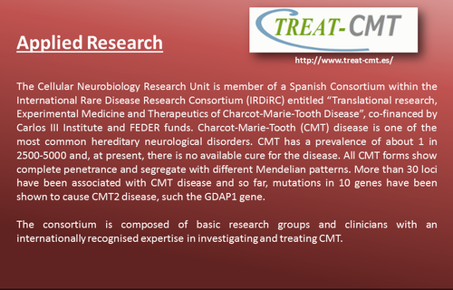 Cellular Neurobiology Research Unit