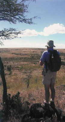 Peter Andrews and Peter Whybrow