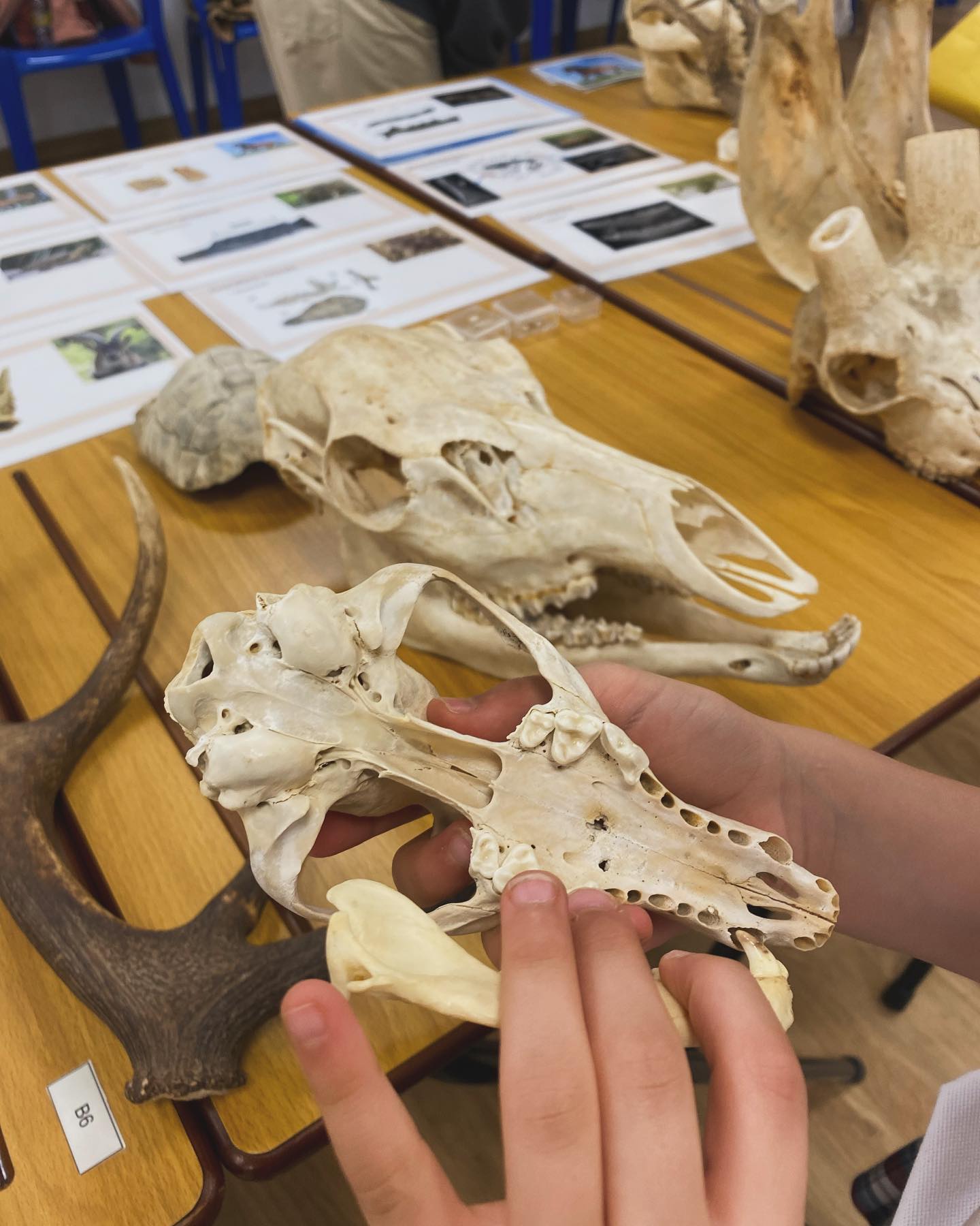 Day of interactive workshops on Prehistory and Archaeology