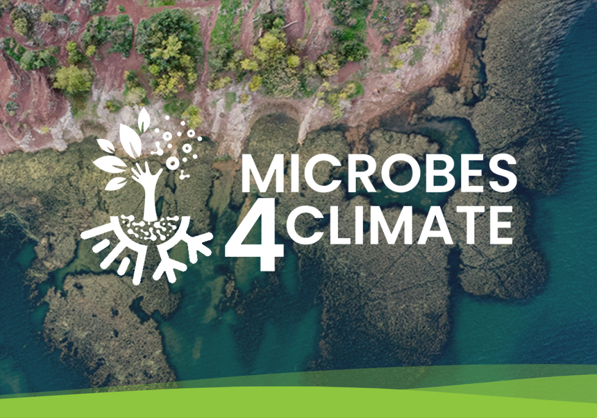 Spanish Type Culture Collection