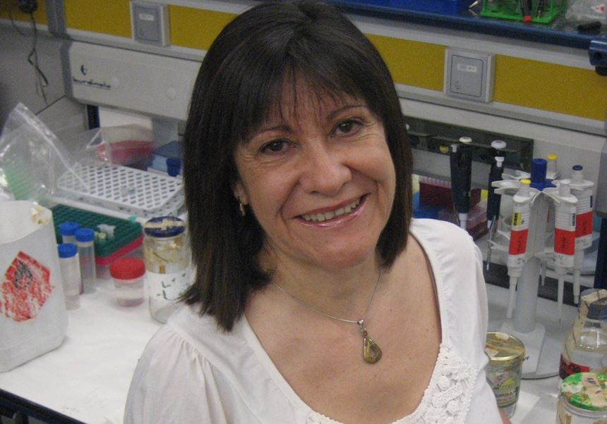 Amparo Latorre Castillo, national award 2025 in the Sociedad Española ...