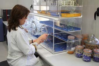 El Banco de Germoplasma del Jardín Botánico abre sus puertas en la ...