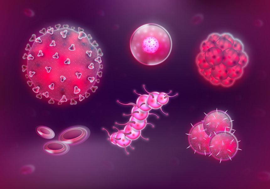 La Universidad Católica de Argentina (UCA) ofrece cursos de ...