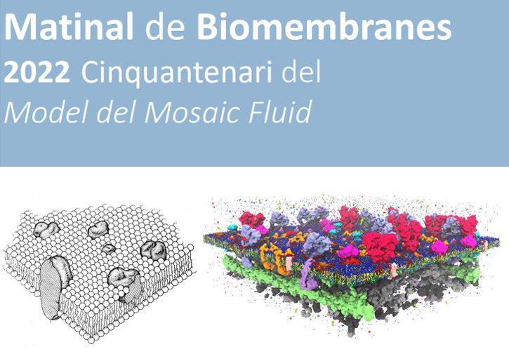 Obert el termini d’inscripció a la Matinal “Biomembranes. Cinquantenari ...