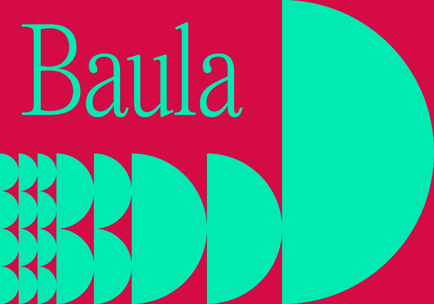 Baula: para estudiantes de primero de Grado en Información y ...