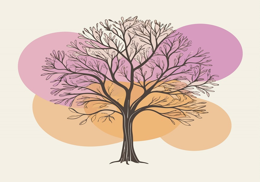 Student Driven Project: Ecosystema