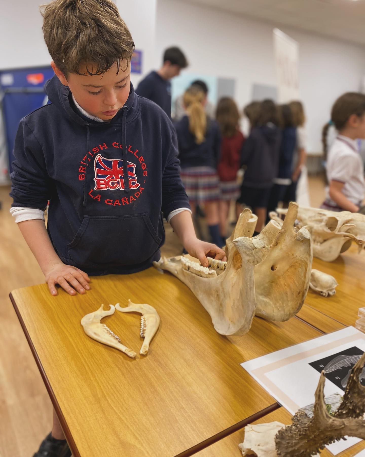 Day of interactive workshops on Prehistory and Archaeology