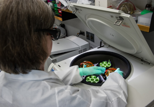 JBI SUMARI en pruebas hasta el 10 de diciembre