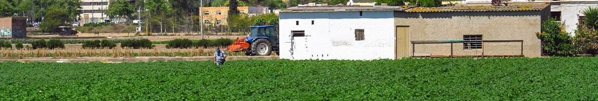 Comarca de l'Horta