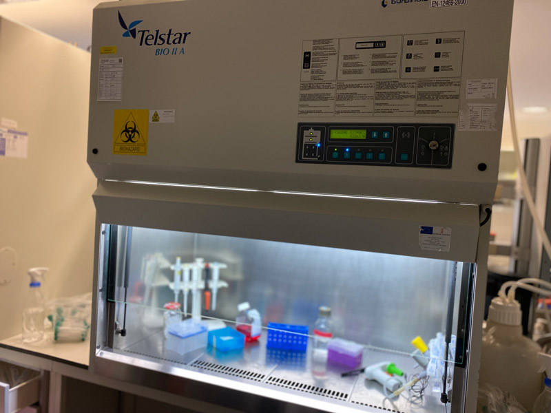 Biological safety laminar flow cabinet type IIA