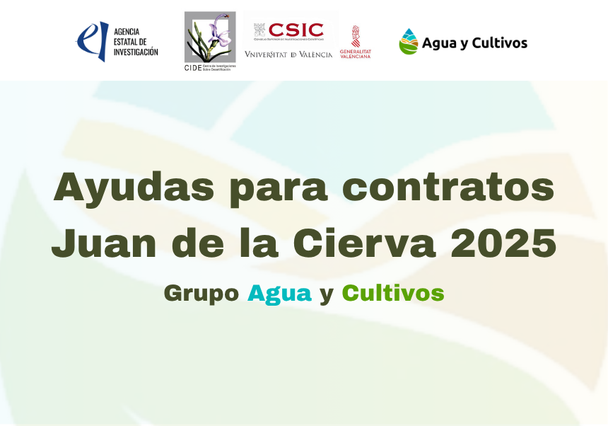 Convocatoria Juan de la Cierva 2025