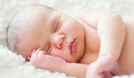 Formación en la Escala ADBB