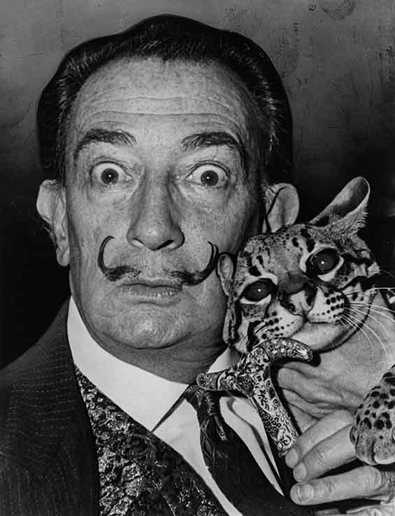 Dalí i Narcís en el Surrealisme avantguardista - Traducció i recepció ...