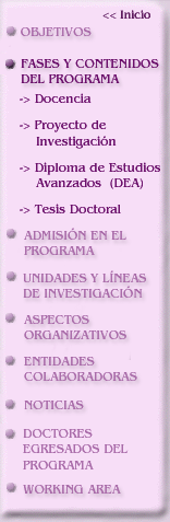 Fases y Contenidos del Programa