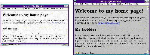 HTML Reference Guide: HTML Basics
