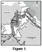 Paleocurrents and Paleodrainage in the Western Himalayan Foreland
