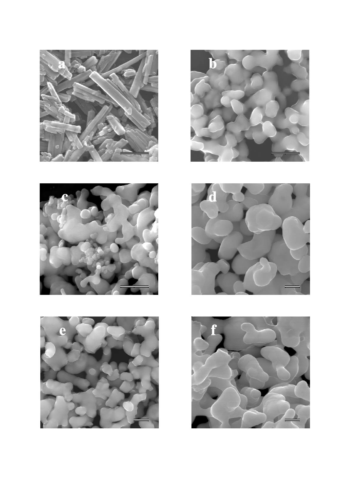 Investigación: 1995-