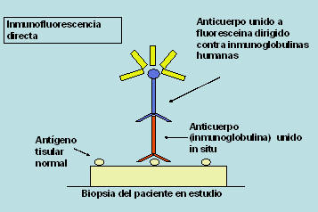 Universidad de Valencia. Resumen de la clase de enfermedades ampollosas